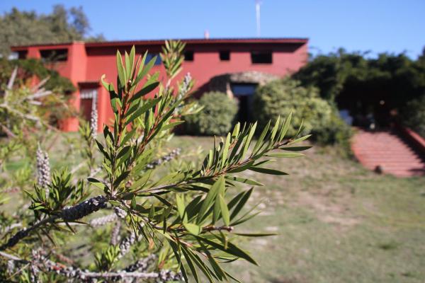 Casa Rural Entreaguas - Madrigal de la Vera