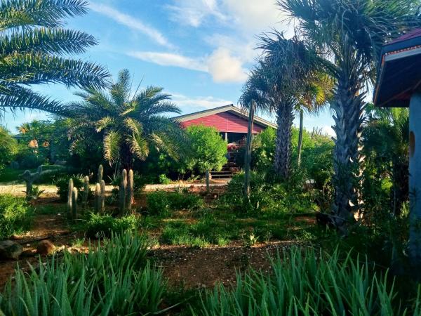 Red Palm Village - Karibik