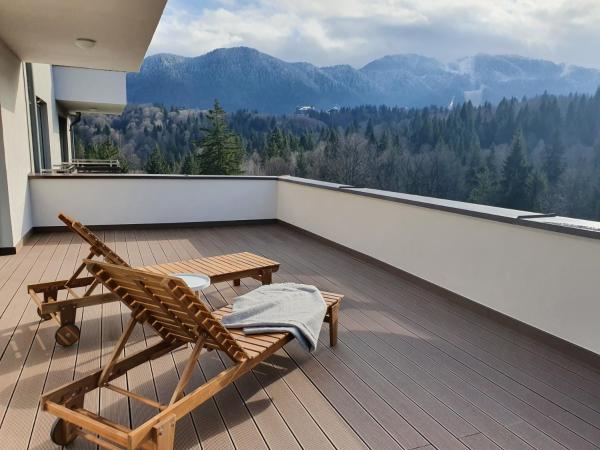 Silver Fox Residence - Brașov