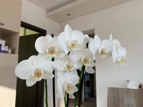 Orchidea Apartmanház Egerszalók - Noszvaj