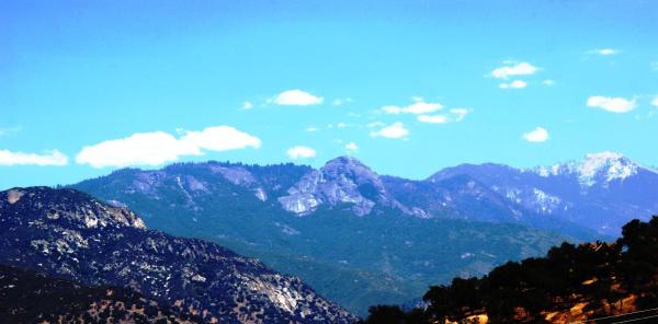 Shady Knoll - Sequoia National Park
