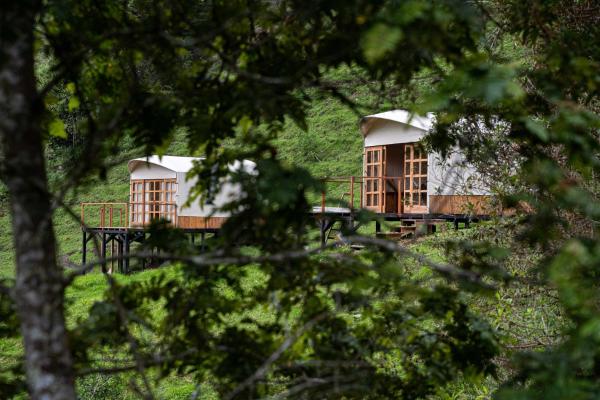 Birdglamping Los Arboles Glamping Hotel - Quindío