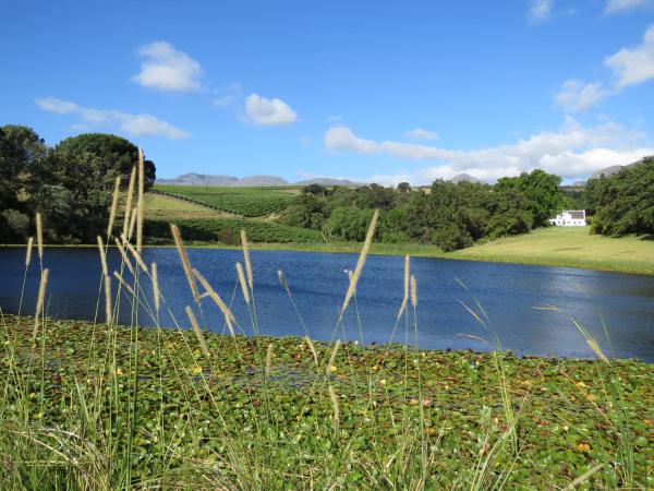Navarre Farm Cottages - Somerset West