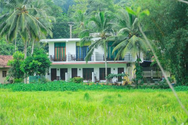 Paddy Field View Resort - Mirissa