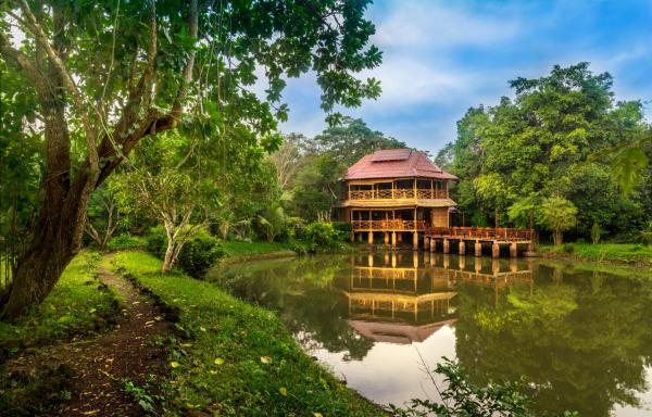 Kingfisher Ecolodge - Laos