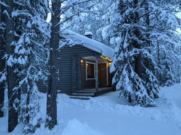 Tunturioravat - Lapland