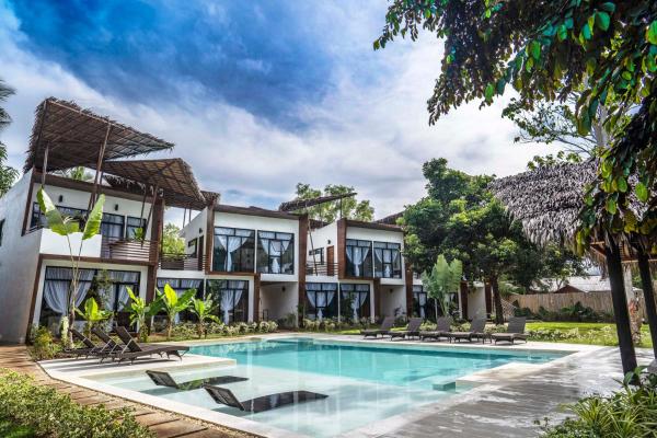 Bird Of Paradise - Panglao