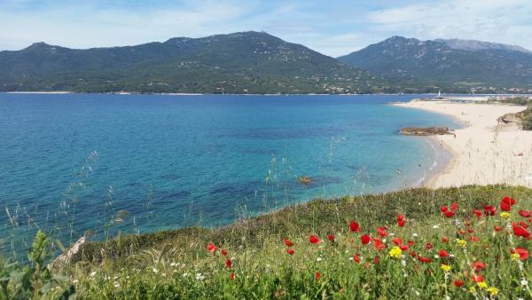 Studio T1 Bis Vue Mer Propriano - Propriano