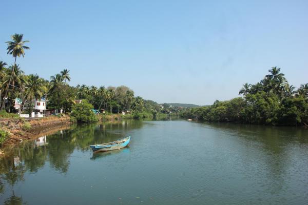 Mayonna Creek Side - Anjuna