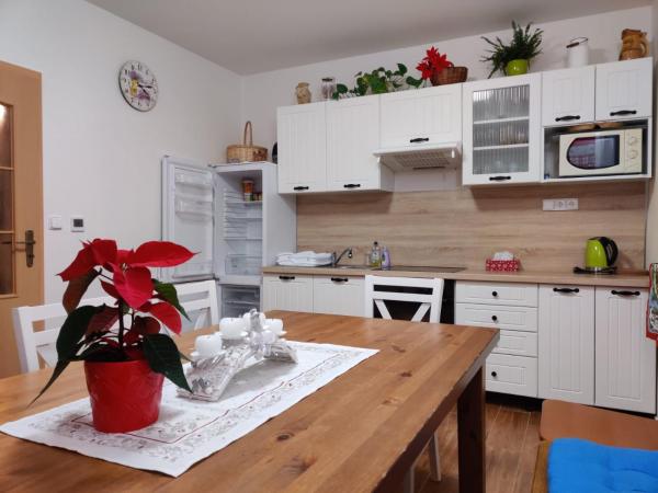 Apartmán Pod Božím Darem - Tchéquie
