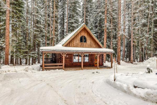 Forest Cabin - McCall, ID