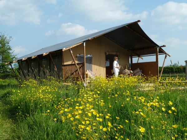 Tall Trees Glamping - Dorset