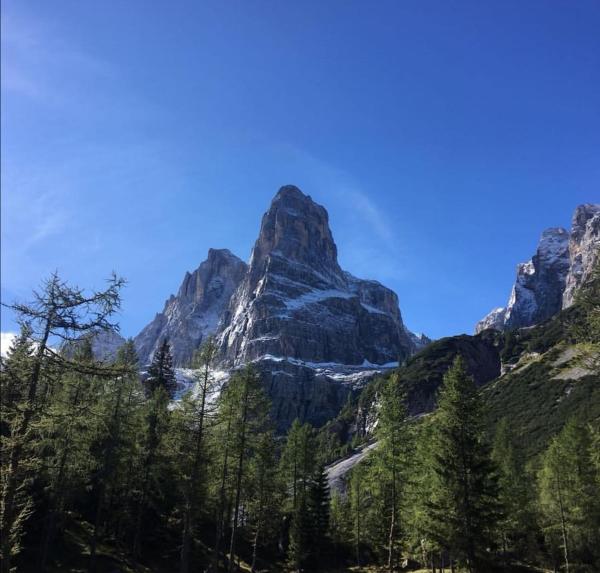 Condominio Ginepro - Pinzolo