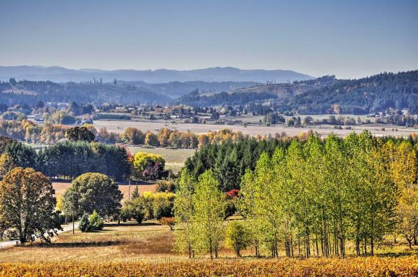 Chic Willamette Valley Home With Deck And Vineyard! - Forest Grove, OR