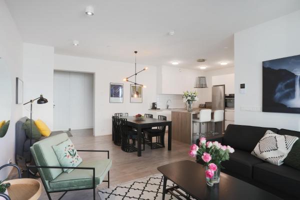 Salka Suites, New Spacious Apt. Downtown Reykjavik - Reykjavík