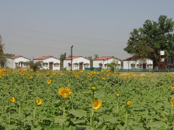 Living Green Farms - Prayagraj