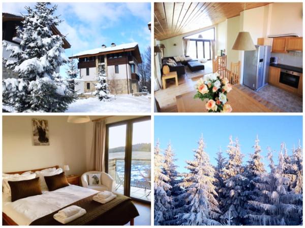 Chalet Mechka - Bulgaria