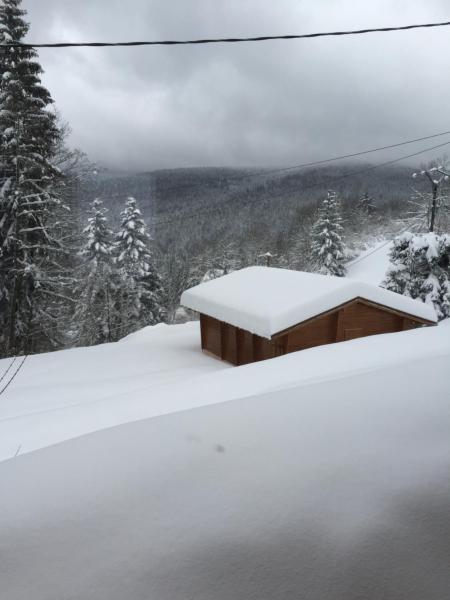 Chalet "Le Refuge Du Brabant" - Vosges