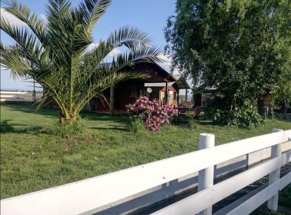 Cabañas Los Castaños - Bío Bío