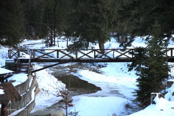 Voroneț, Cabana Ioana, Bucovina! - Frasin
