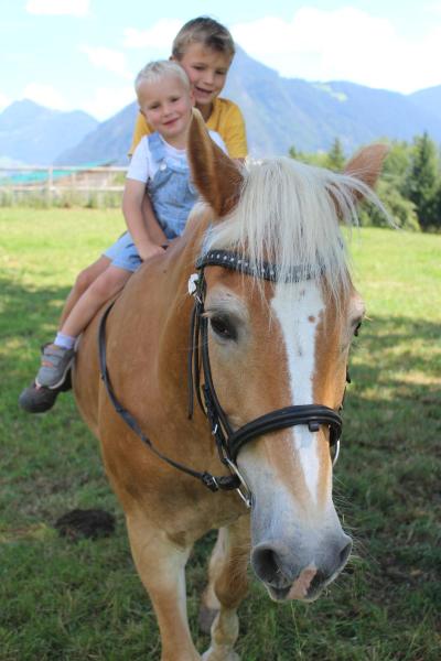 Lamplhof - Zillertal