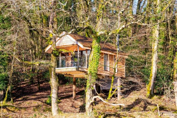 Finest Retreats - The Tree House - Eco-friendly, Back To Nature Experience - Roadford Lake