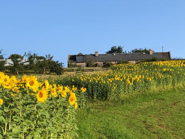 Garden Bank Cottage - Kelso