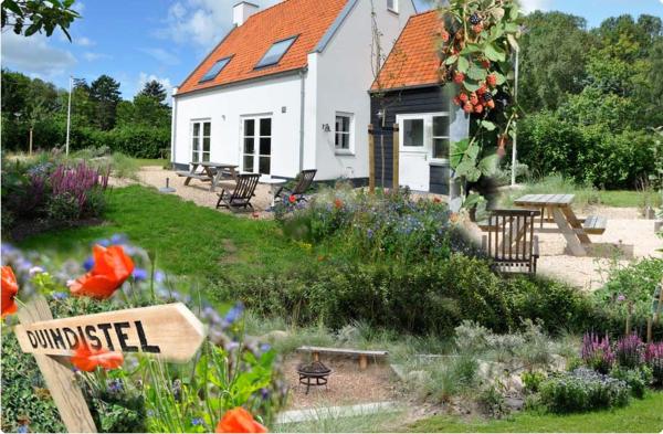 De Duindistel Bed By The Sea - Zoutelande