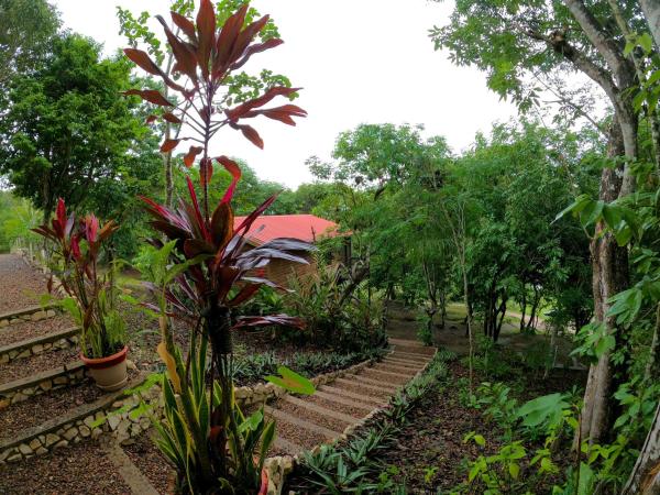 Hilltop Tree Level Cabana Cozy Panoramic View - Belize