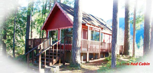 Mt Rainier Little Red Cabin - 阿什福德