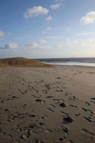 Ferienwohnung Monteurwohnung Deichbrandt - Wilster