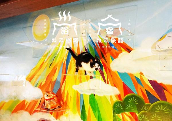 Cat Spa & Cat Ryokan By Neco Republic Osaka - 難波