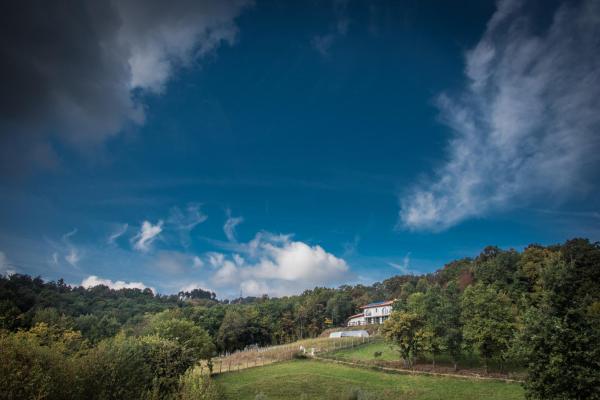Agriturismo "La Collina" - 15km Dal Centro Di Torino - Piedmont
