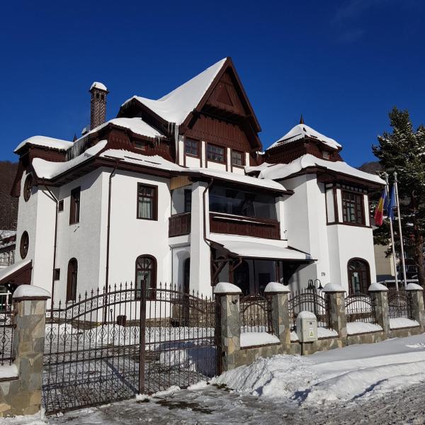 White Wood Chalet - Azuga