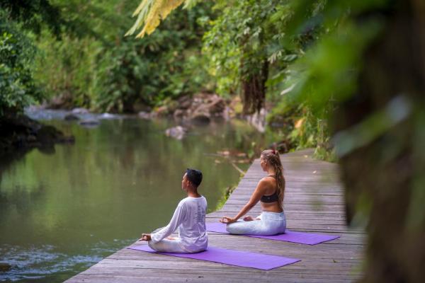 Adiwana Svarga Loka - A Retreat Resort - Bali