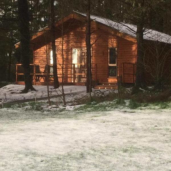 Butterfly Cabin - Clare County