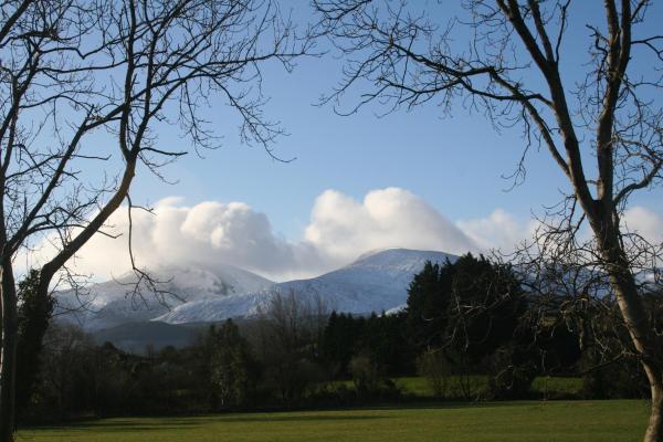 Tuck Mill Cottage - County Down