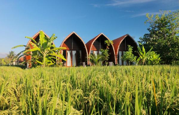 The Authentic Ricebarn At Keramas Surf Camp - Gianyar