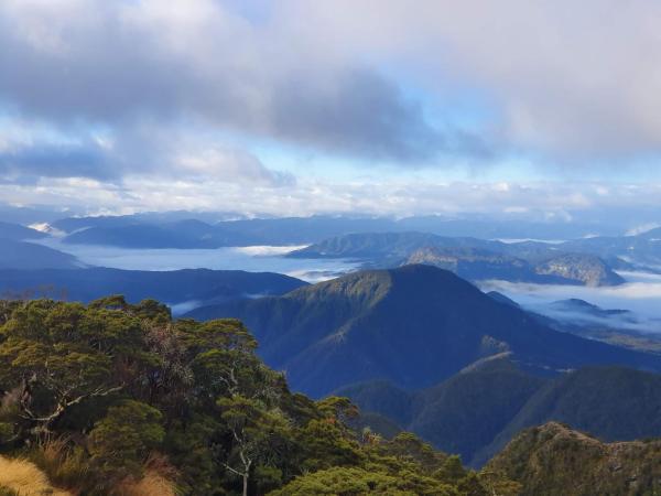 Off The Beaten Trail -Kea Studio - Murchison