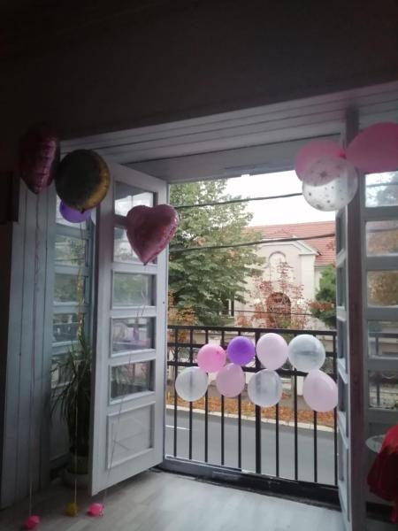 French Balkony Apartment - Belgrade