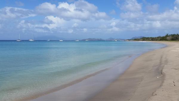 Manuae House Of Birds 1 - Saint Kitts and Nevis