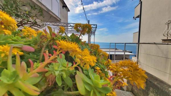 Apartment Cedo - Omiš
