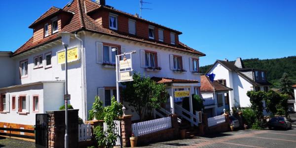 Hotel Irene - Michelstadt