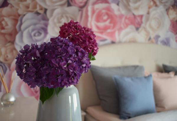 Apartment Rose Sasbachwalden - Sasbach