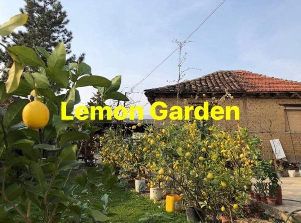 Lemon Garden - Kuzey Makedonya