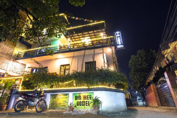 Big Tree Hostel - Kathmandu