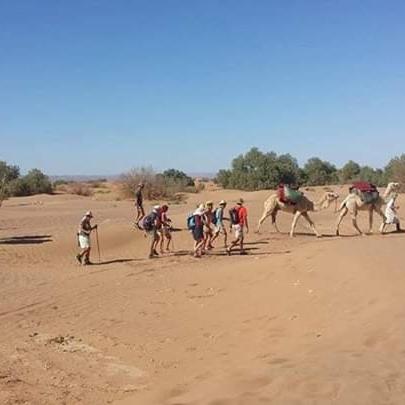 Berber Sahara - Zagora