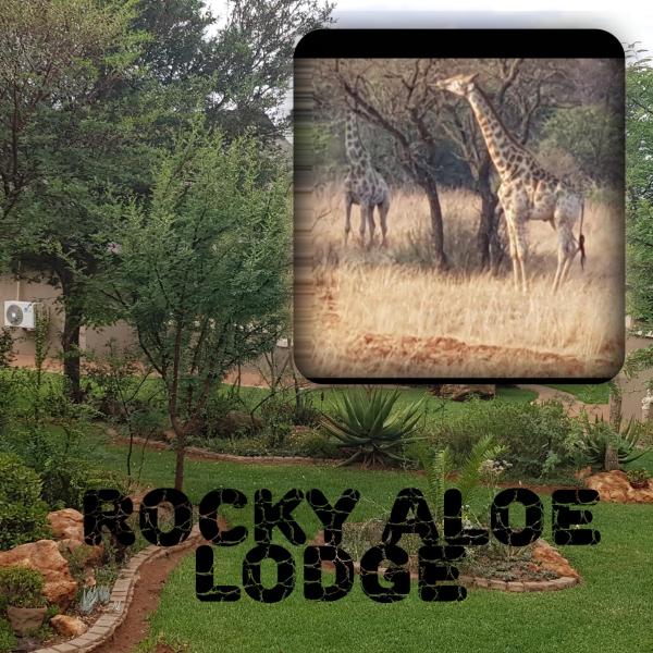 Rocky Aloe Escape - Magaliesburg