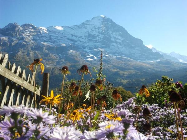 Chalet Uf Em Stutz 1 - Grindelwald