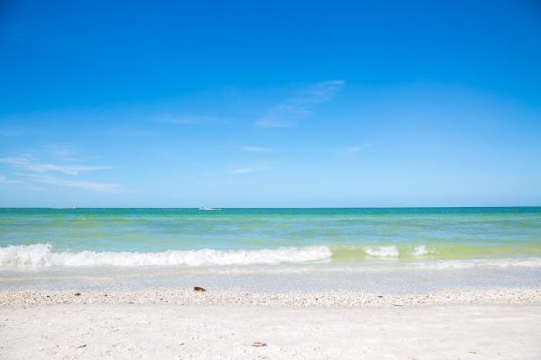 Ideal For Conference @ J.w. Marriott / Access To Beach!! - Marco Island, FL